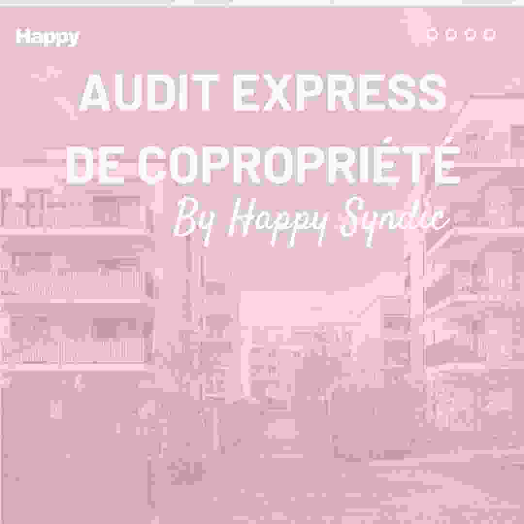 Audit express de copropriété : Comprendre, clarifier et relancer la ...